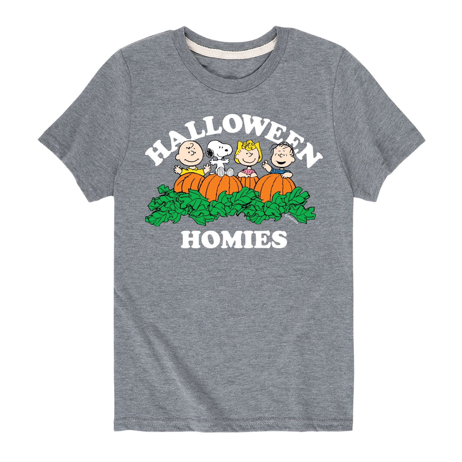 Peanuts - Halloween Homies - Toddler And Youth Short Sleeve Graphic T ...
