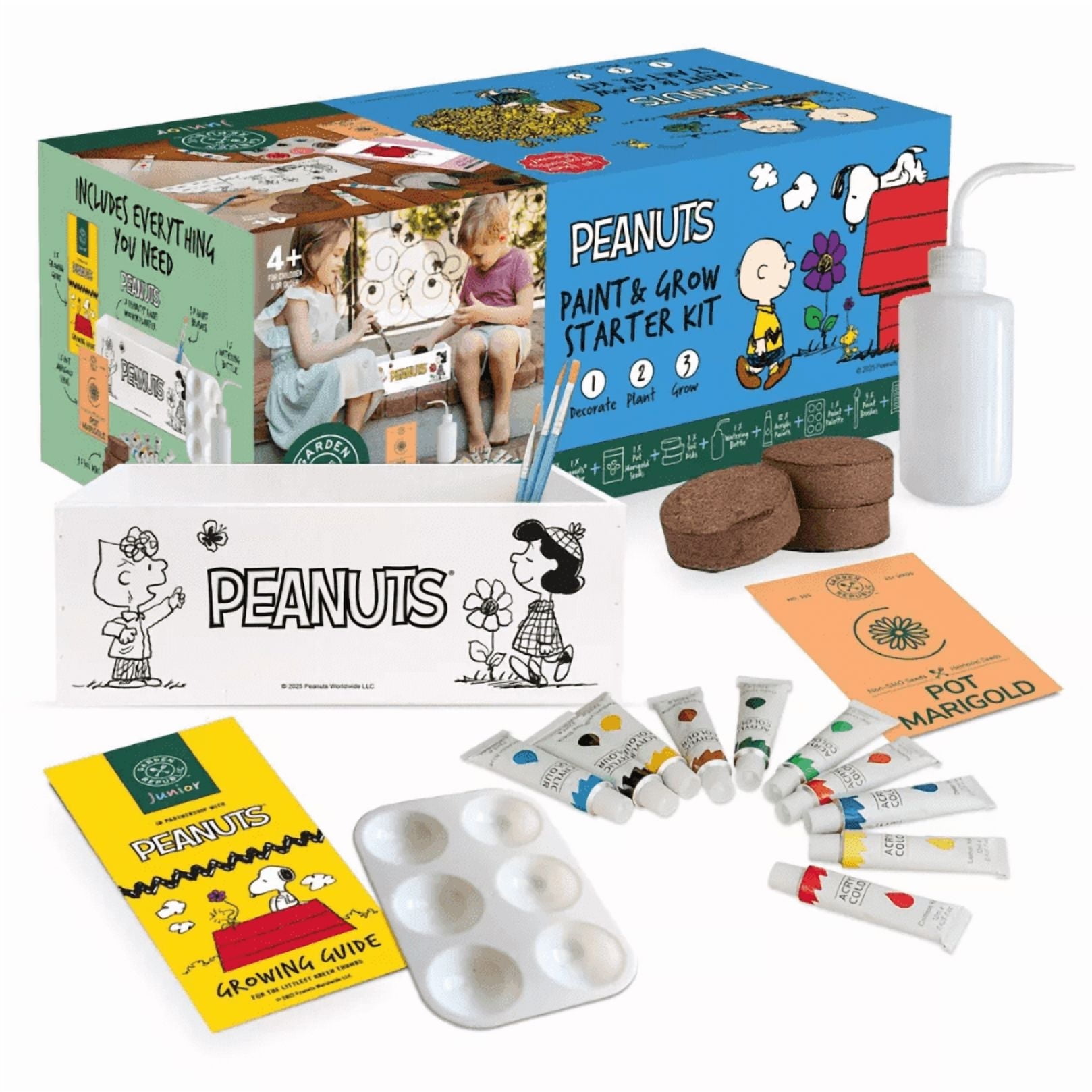 Peanuts Snoopy Paint & Grow Starter Kit Snoopy Decorate Planter Art and ...