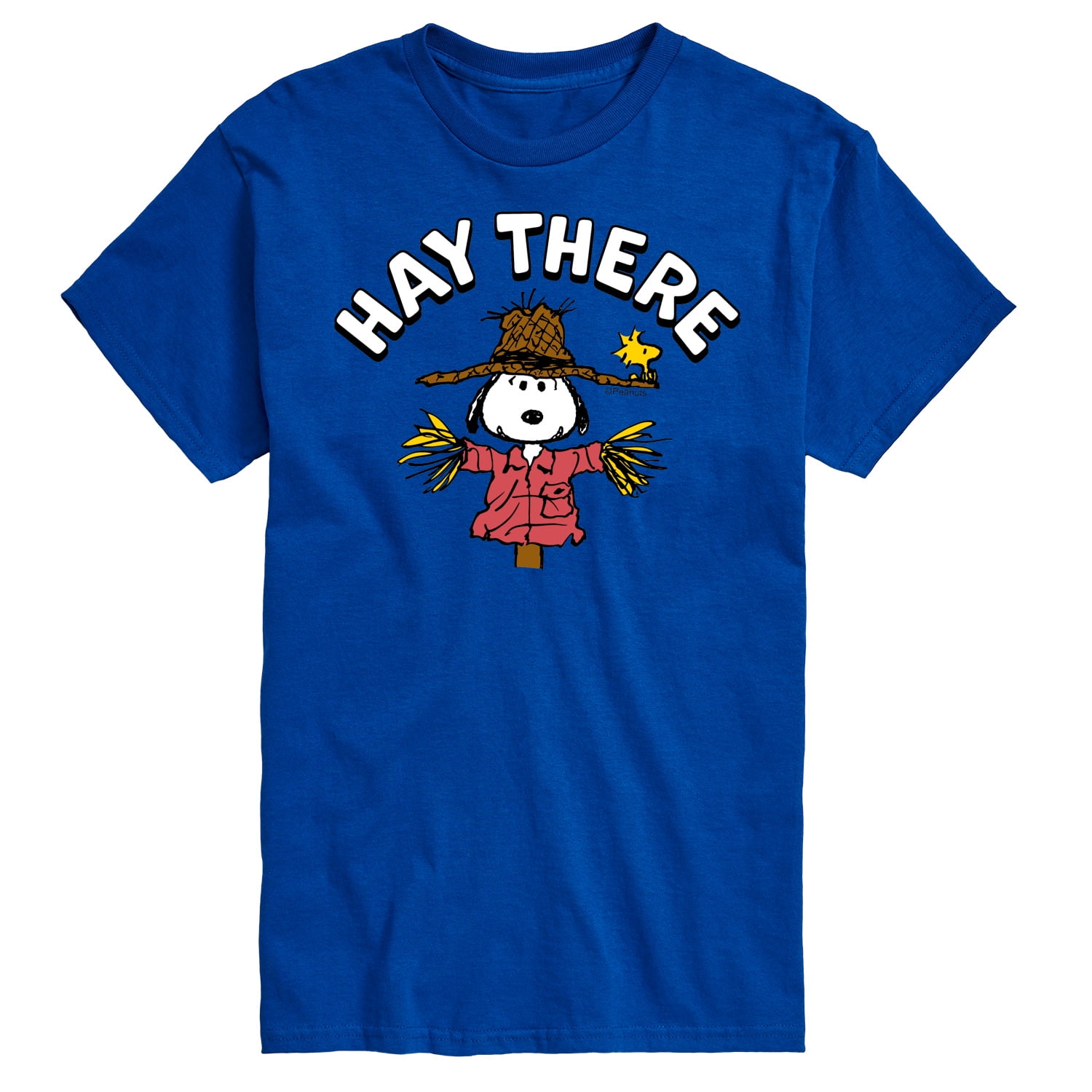 Peanuts - Snoopy Scarecrow Hay There - Men's Short Sleeve Graphic T ...