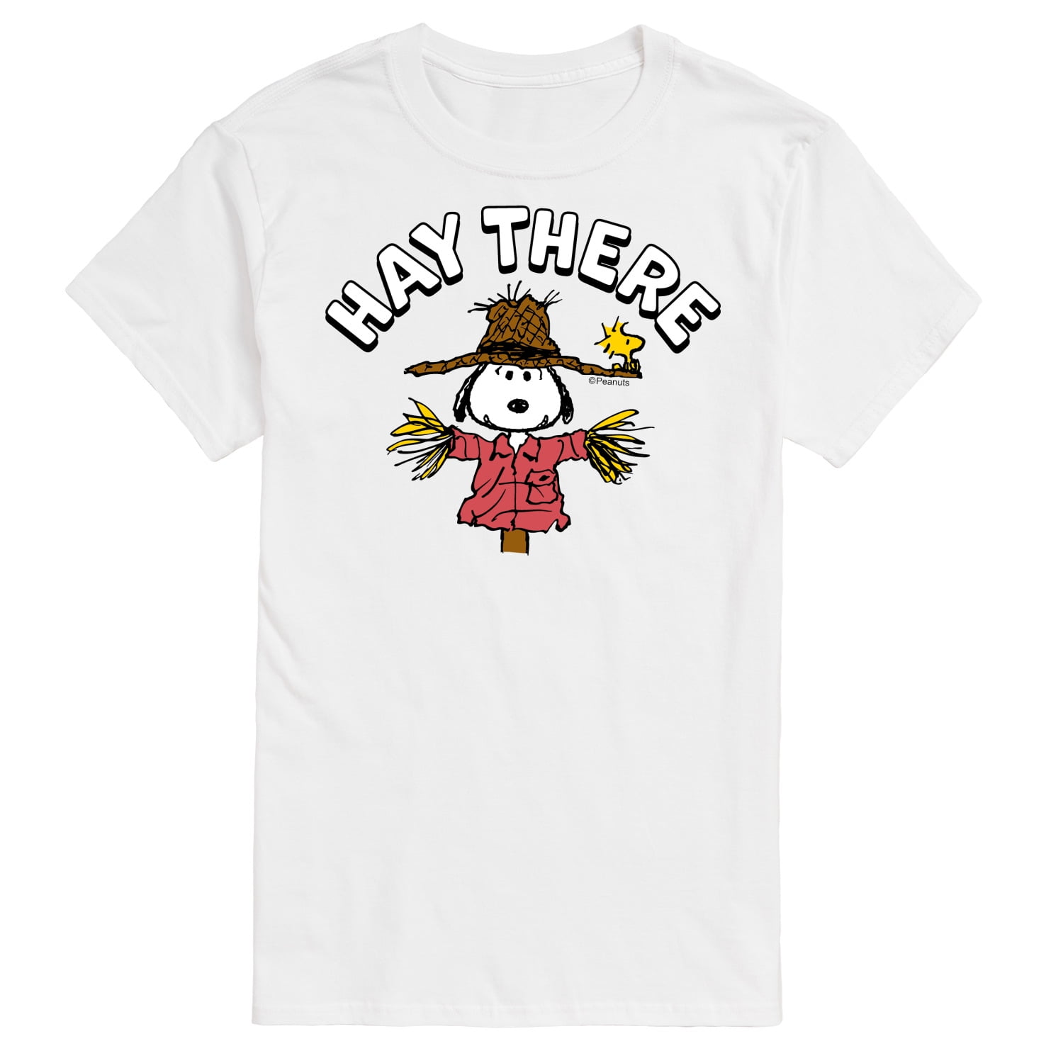Peanuts - Snoopy Scarecrow Hay There - Men's Short Sleeve Graphic T ...
