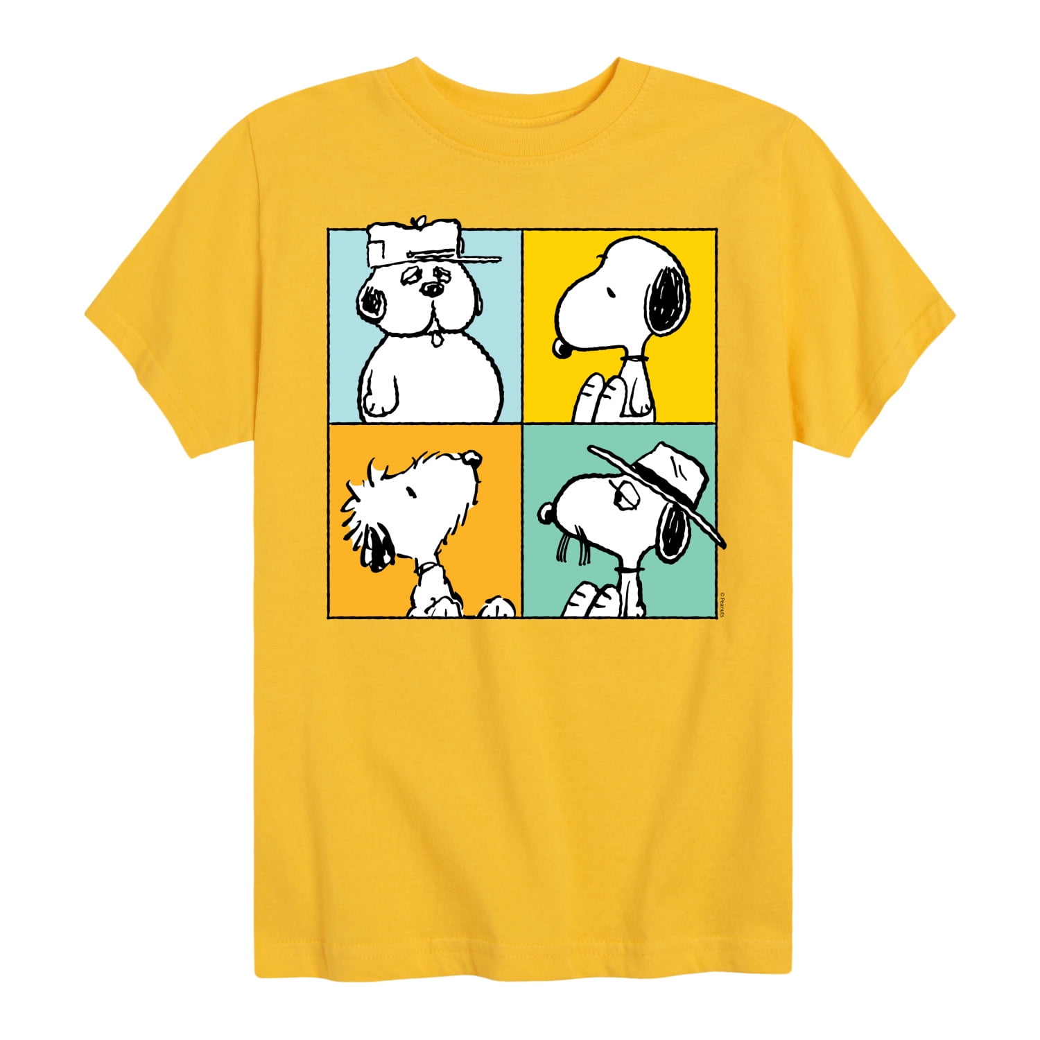 Peanuts - Snoopy Siblings Grid - Toddler And Youth Short Sleeve Graphic ...