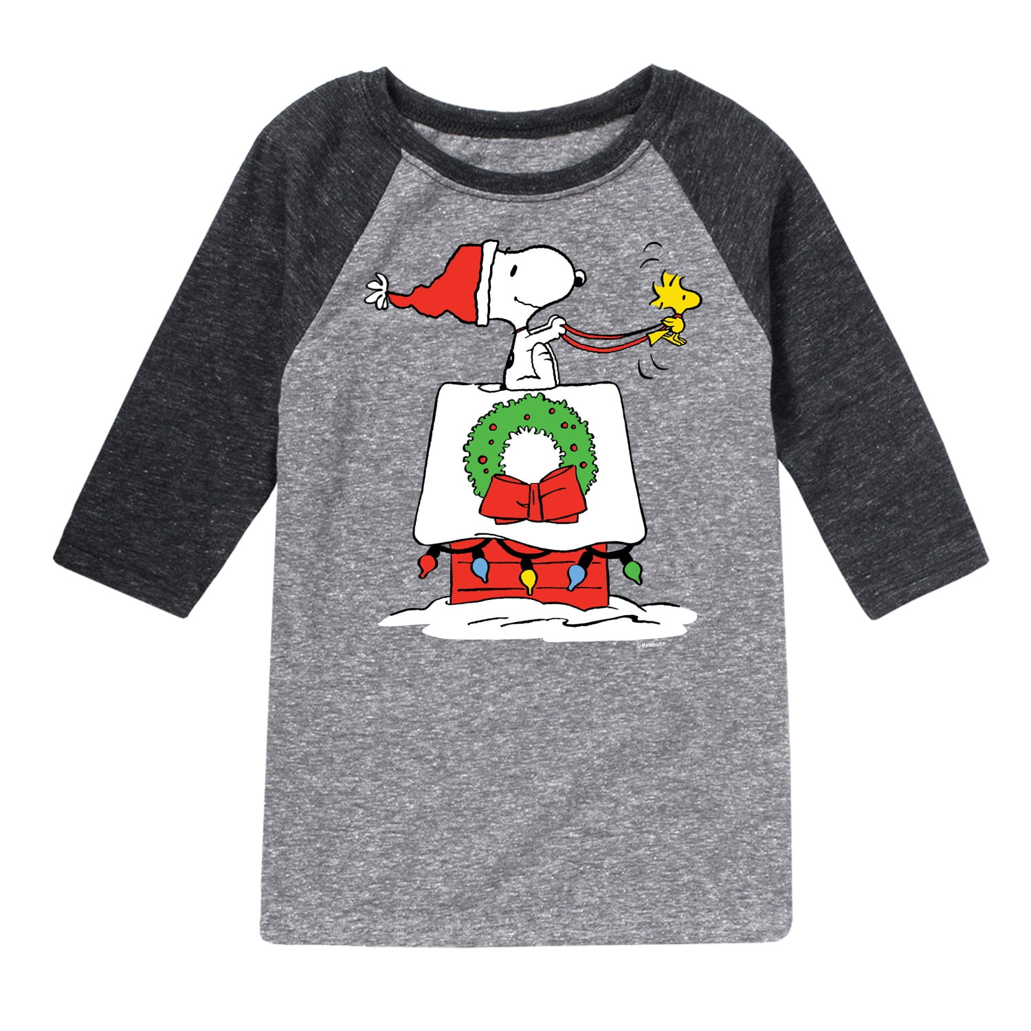 Peanuts - Snoopy & Woodstock House Sleigh - Toddler And Youth Raglan ...