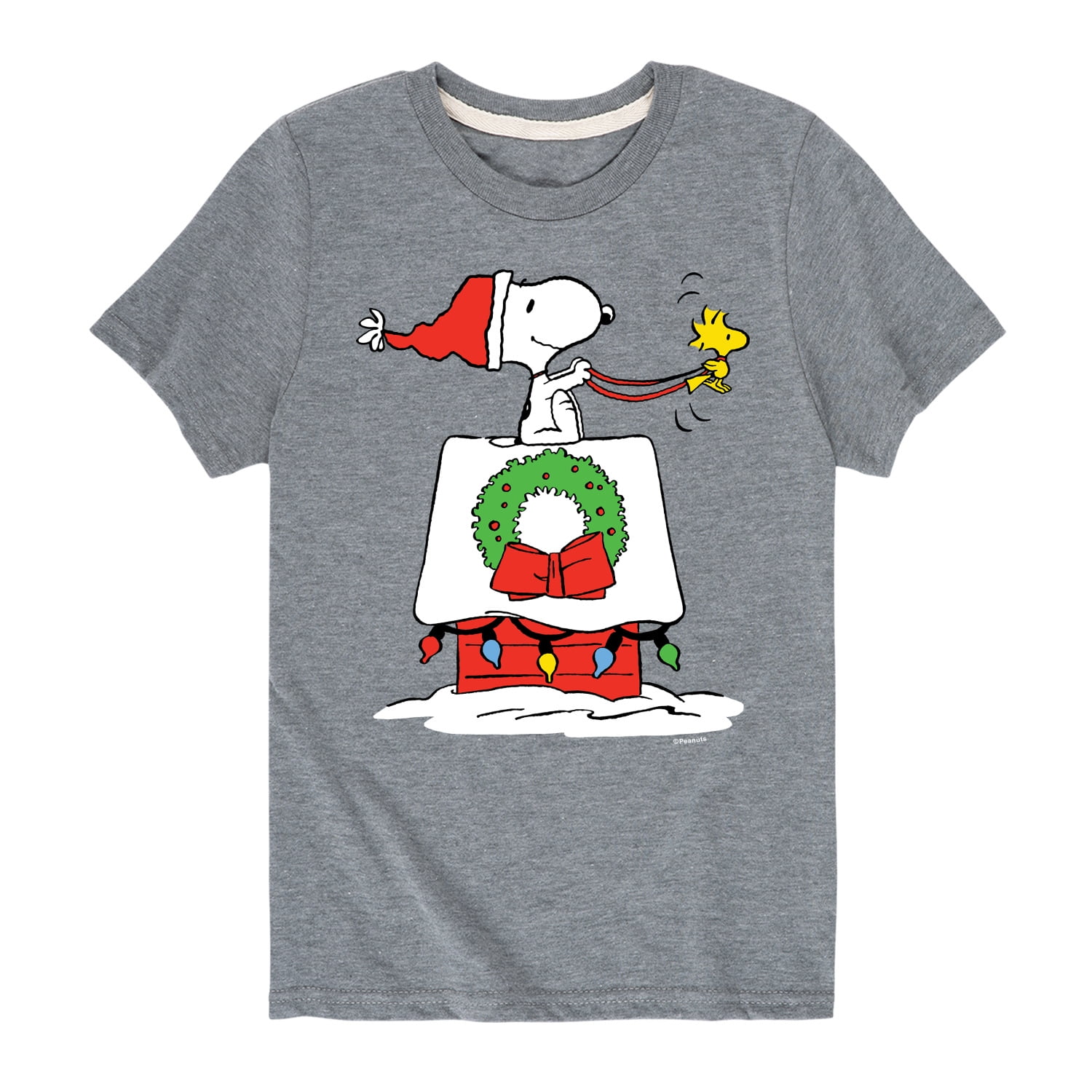Peanuts - Snoopy & Woodstock House Sleigh - Toddler And Youth Short ...