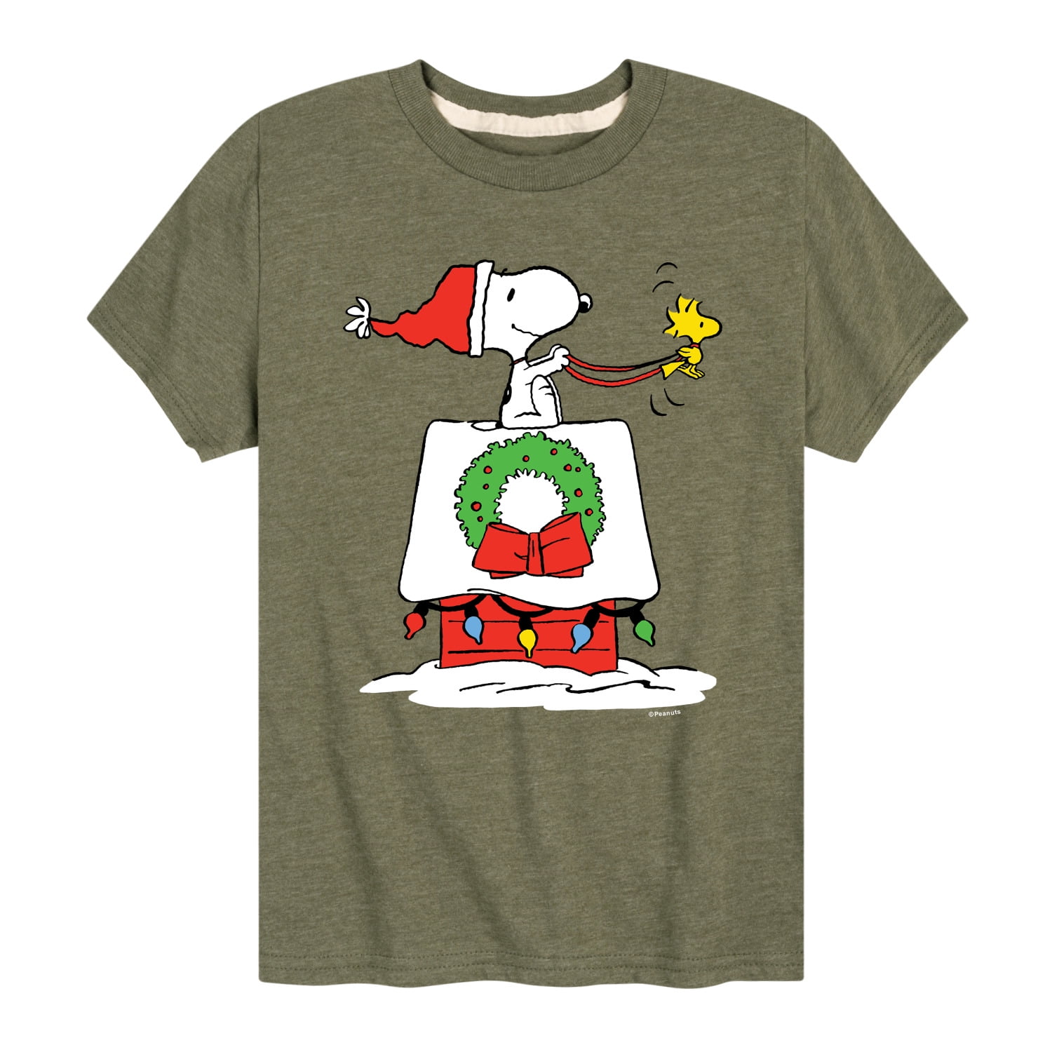 Peanuts - Snoopy & Woodstock House Sleigh - Toddler And Youth Short ...