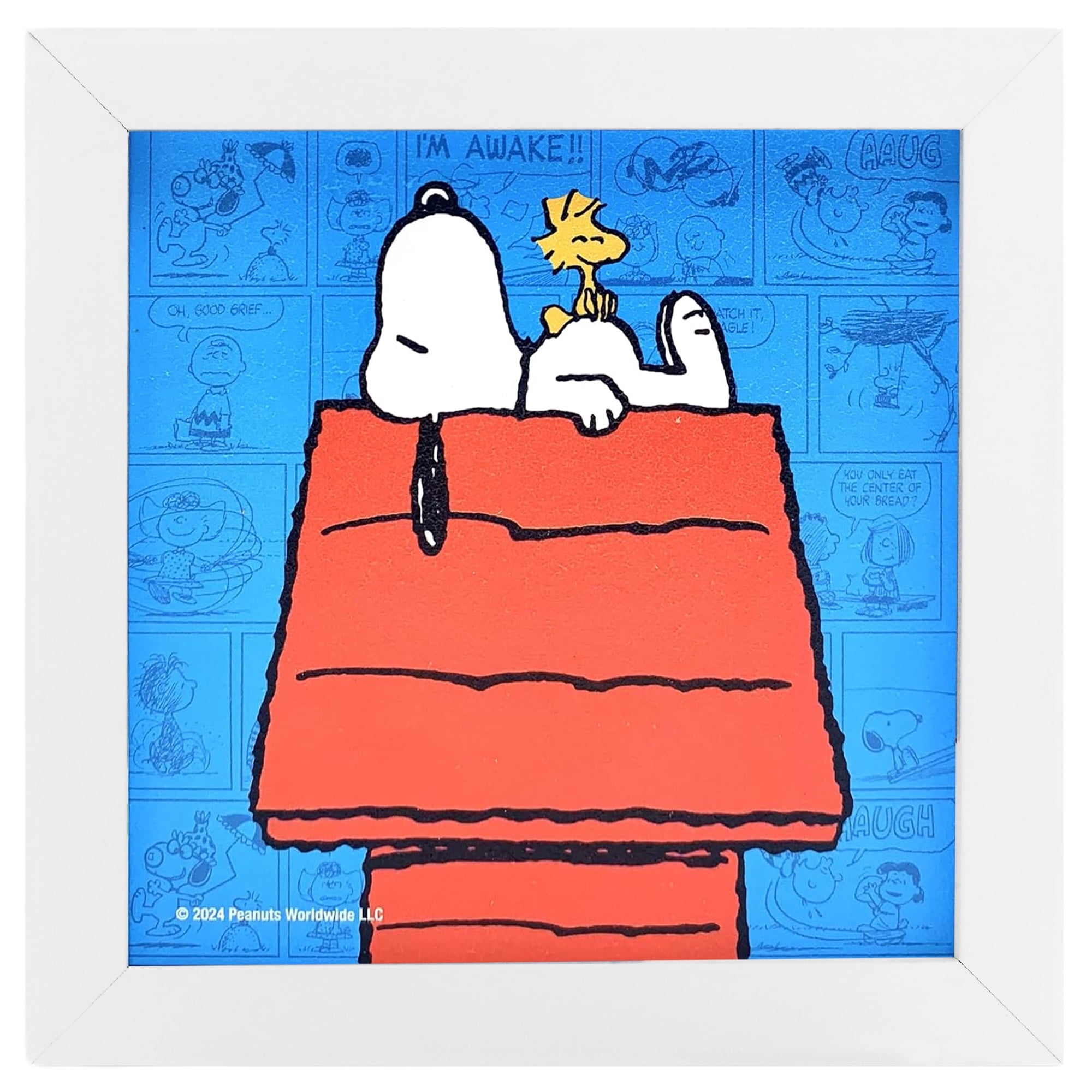 Silver Buffalo Peanuts Snoopy Woodstock Panels Gel Coat 6" x 6" Framed ...