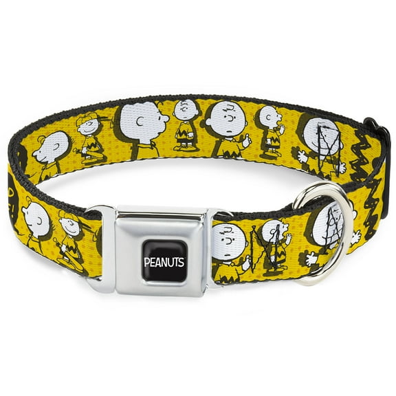 Buckle-Down Pet Collar, Dog Collar Metal Seatbelt Buckle, Jagged Zig ...