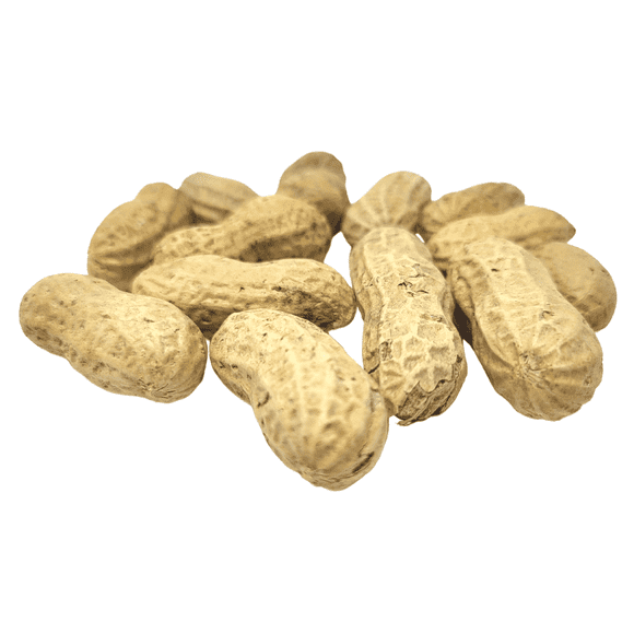 Buy Bulk In-Shell Peanuts in Various Sizes and Flavors Online