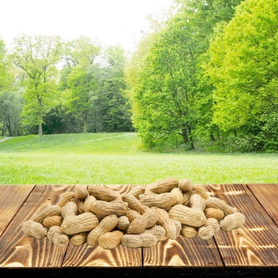 Peanuts in the Shell, 10 lbs. - Walmart.com