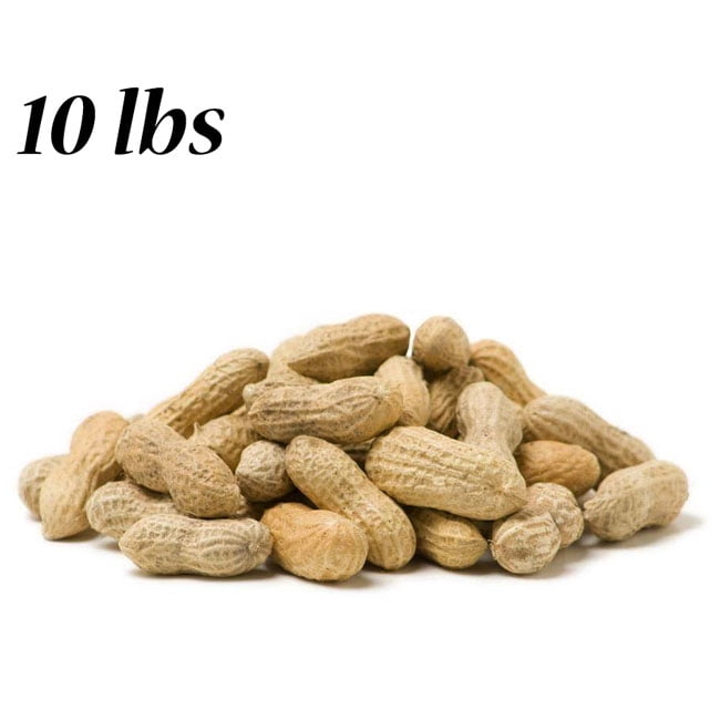 Peanuts in the Shell, 10 lbs. - Walmart.com