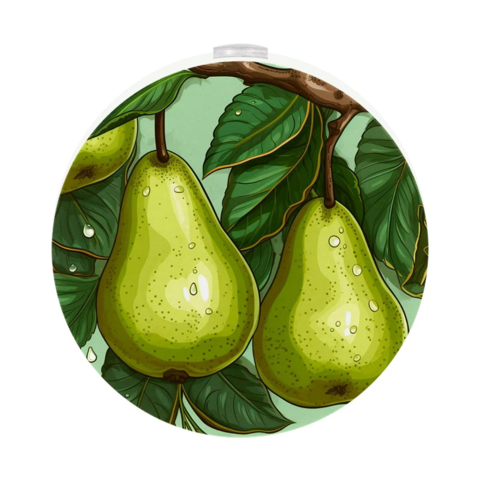 Pear LED Round Night Light-2PCS, Plug-in Mini Wall Socket Soft White ...