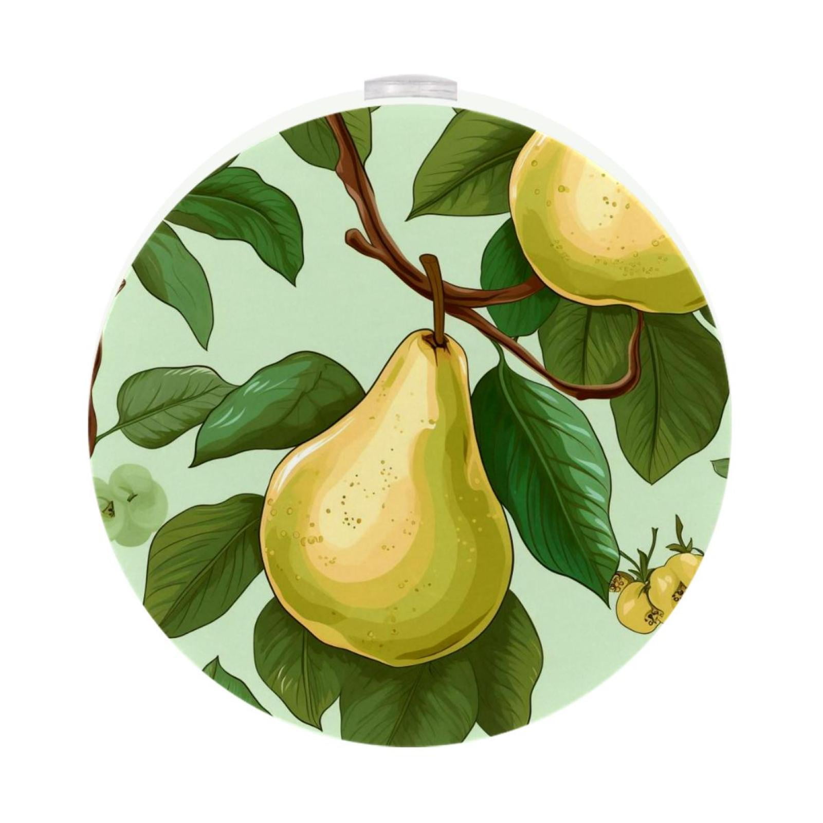Pear Set of 2 LED Round Night Lights for Brightening up your Space at ...
