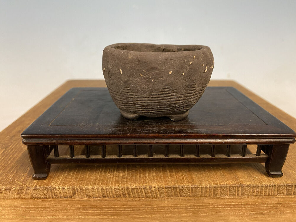Pear Skin Unglazed Shohin Size Bonsai Tree Pot Heian Kosen 2 5/8” - Walmart.com