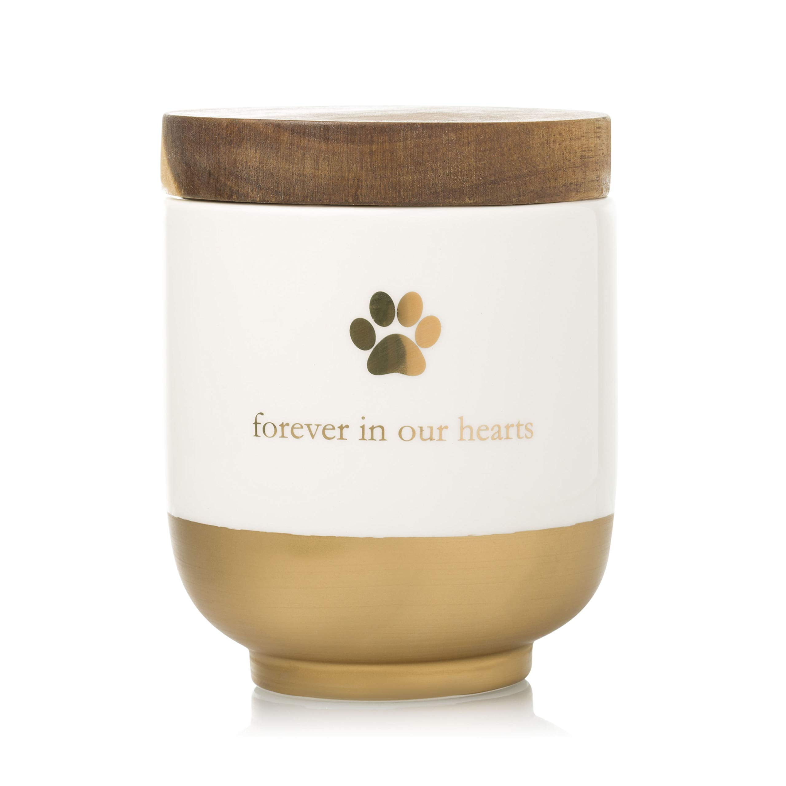 Pearhead Pet Ceramic Forever TSF6 in Our Hearts Urn, Pet Memorial, Dog ...