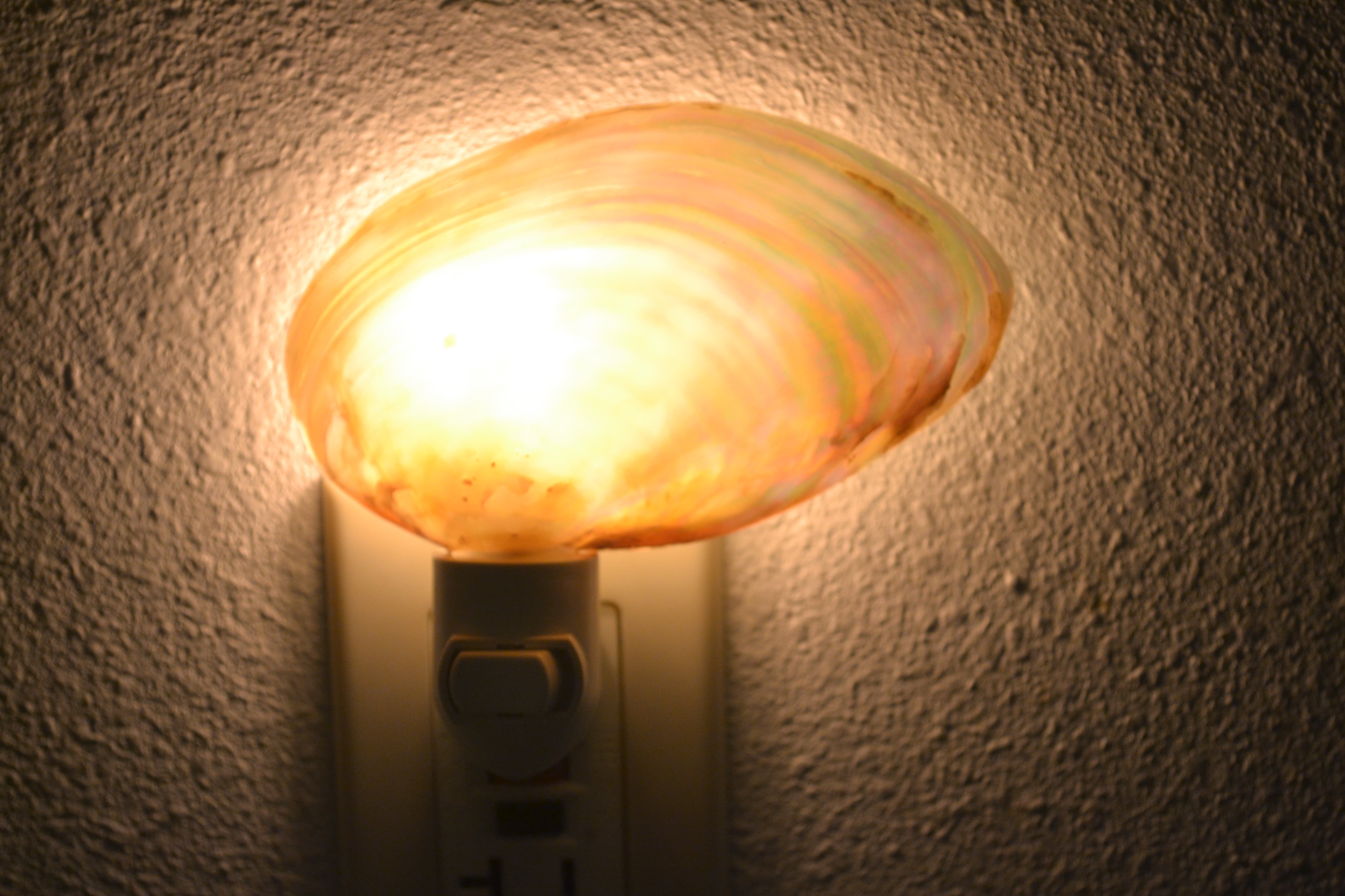 Pearlized River Seashell Nightlight - Walmart.com