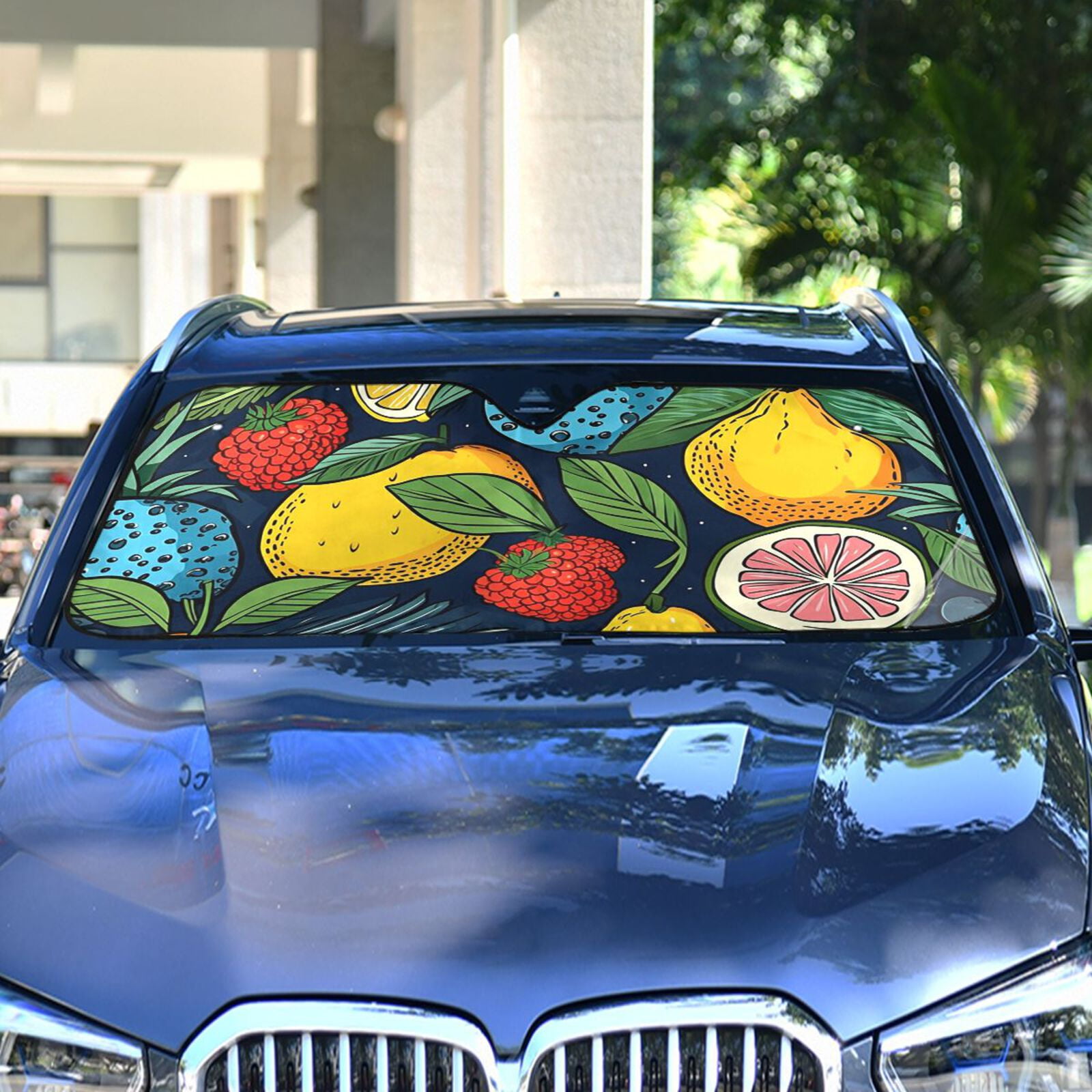Pears Raspberries Blueberries Automotive Front Car Windshield Sun Shade ...