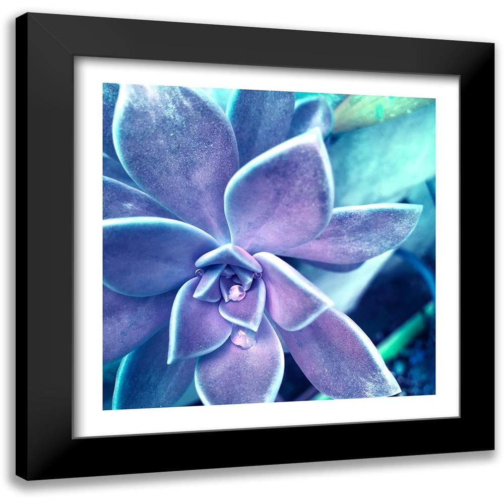 Pearson, Debbie 15x15 Black Modern Framed Museum Art Print Titled ...