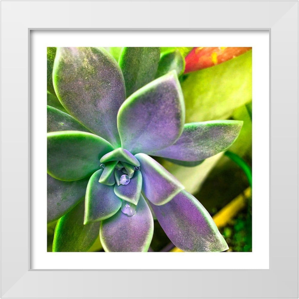 Pearson, Debbie 26x26 White Modern Wood Framed Museum Art Print Titled ...