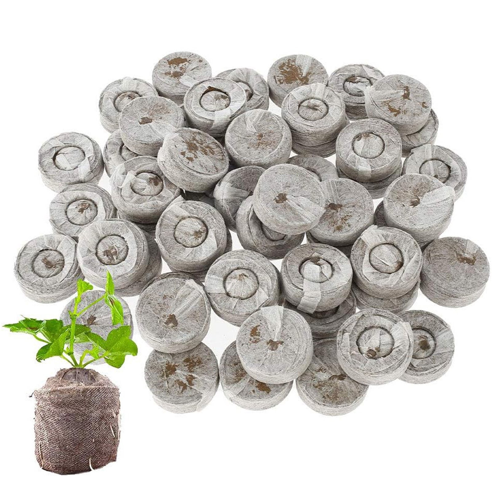 Peat Pellets for Seedlings - 30MM Seed Starter Pellets Peat Pods for ...
