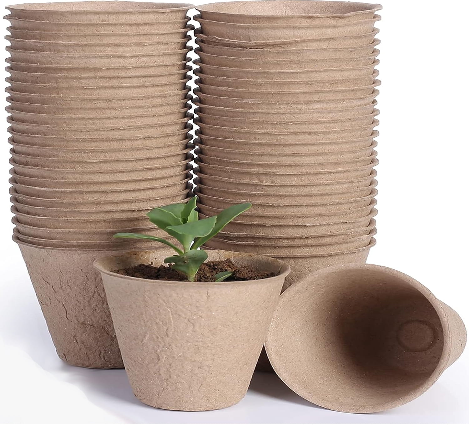 Peat Pots 4 Inch Large, 50 Pcs Disposable Pots, Round Biodegradable ...