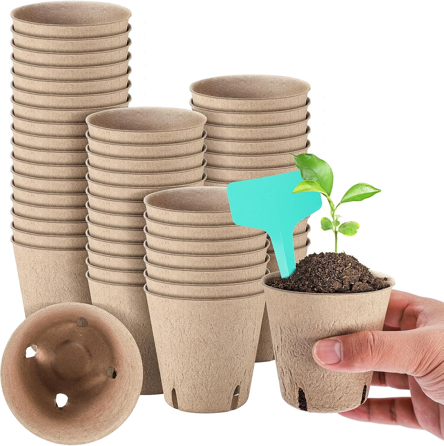Peat Pots Plant Starters for Seedling with 15 Pcs Plant Labels ...