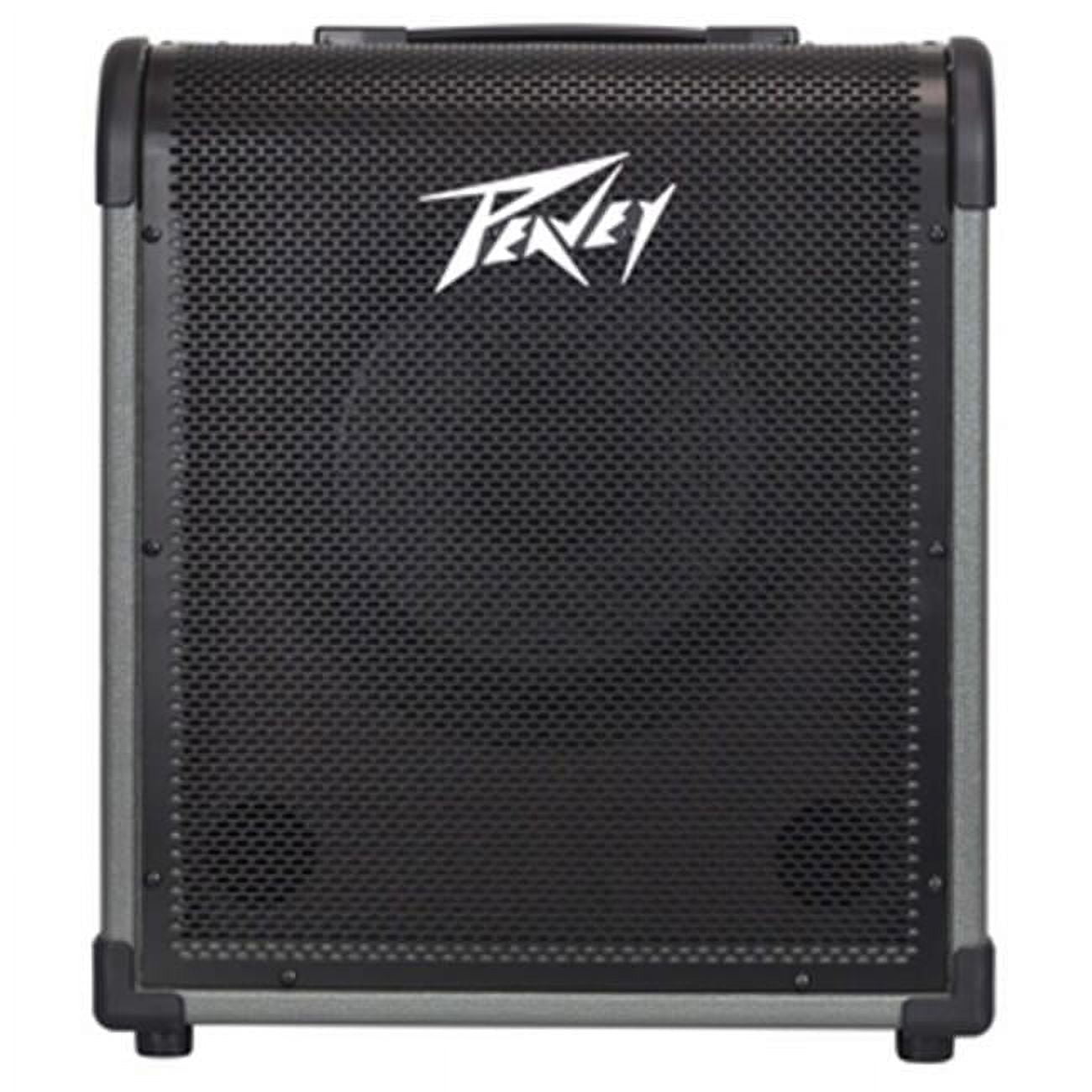 Peavey Electronics 150 watt Ultra-Compact Bass Amplifier - Walmart.com