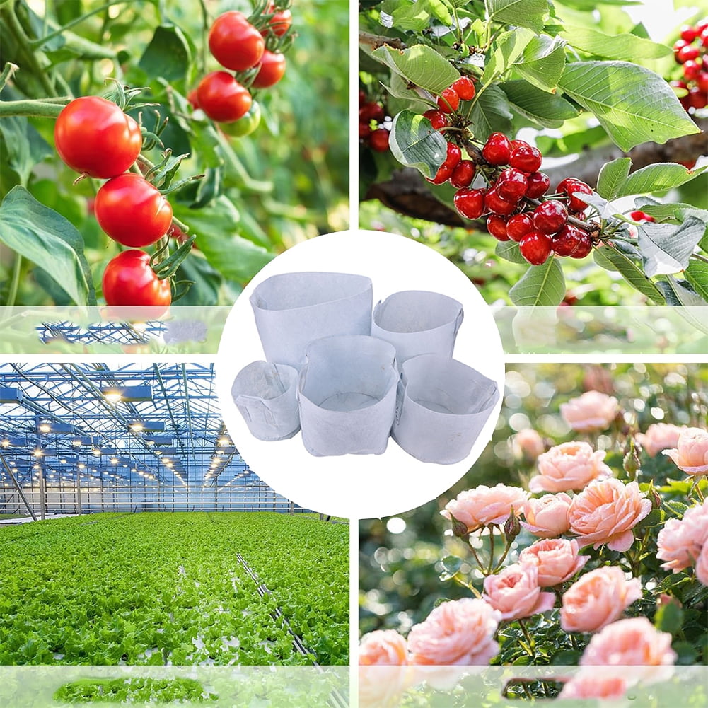 Pebbuoy 1Pc Round Fabric Pots Plant Pouch,Root Container Cultivation ...