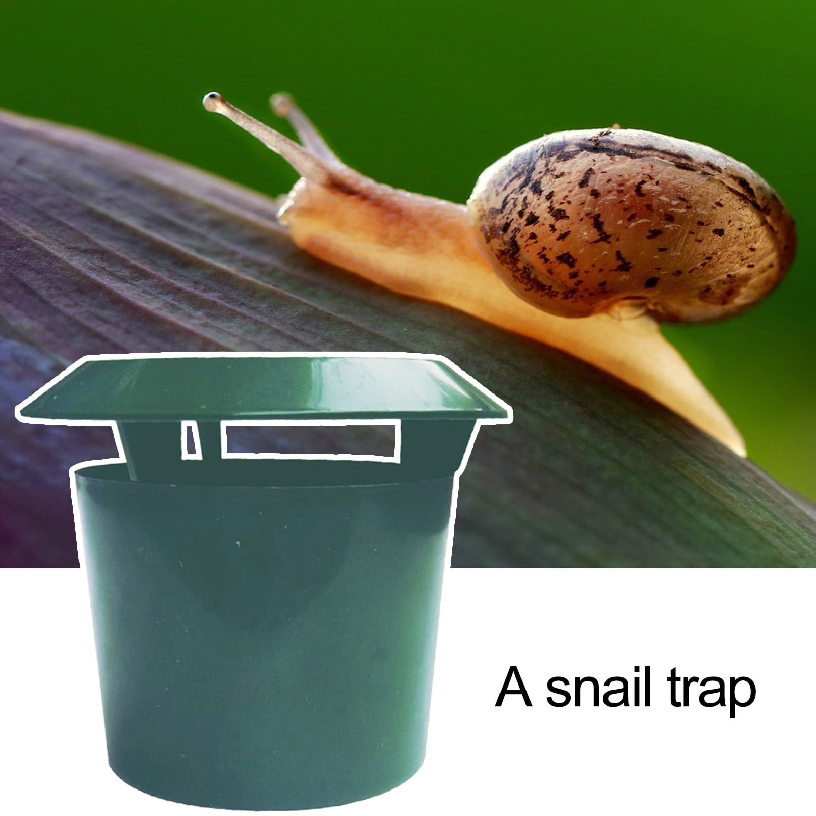 Pebbuoy 4/5/6Pcs Outdoor Slug Catchers Snail Traps Reusable Eco ...