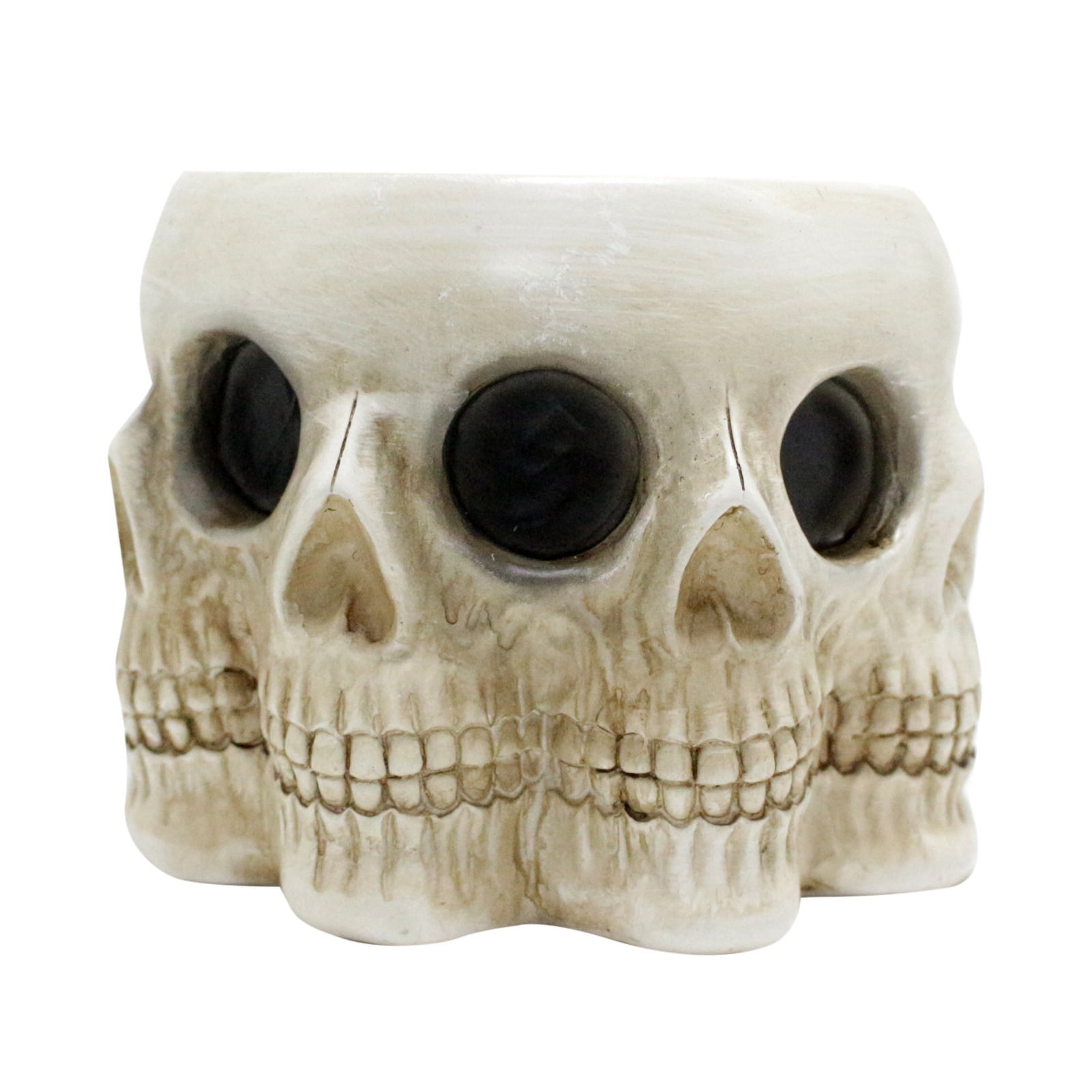 Pebbuoy Creepy Skull Planter Succulent Vase Realistic Looking Multi ...