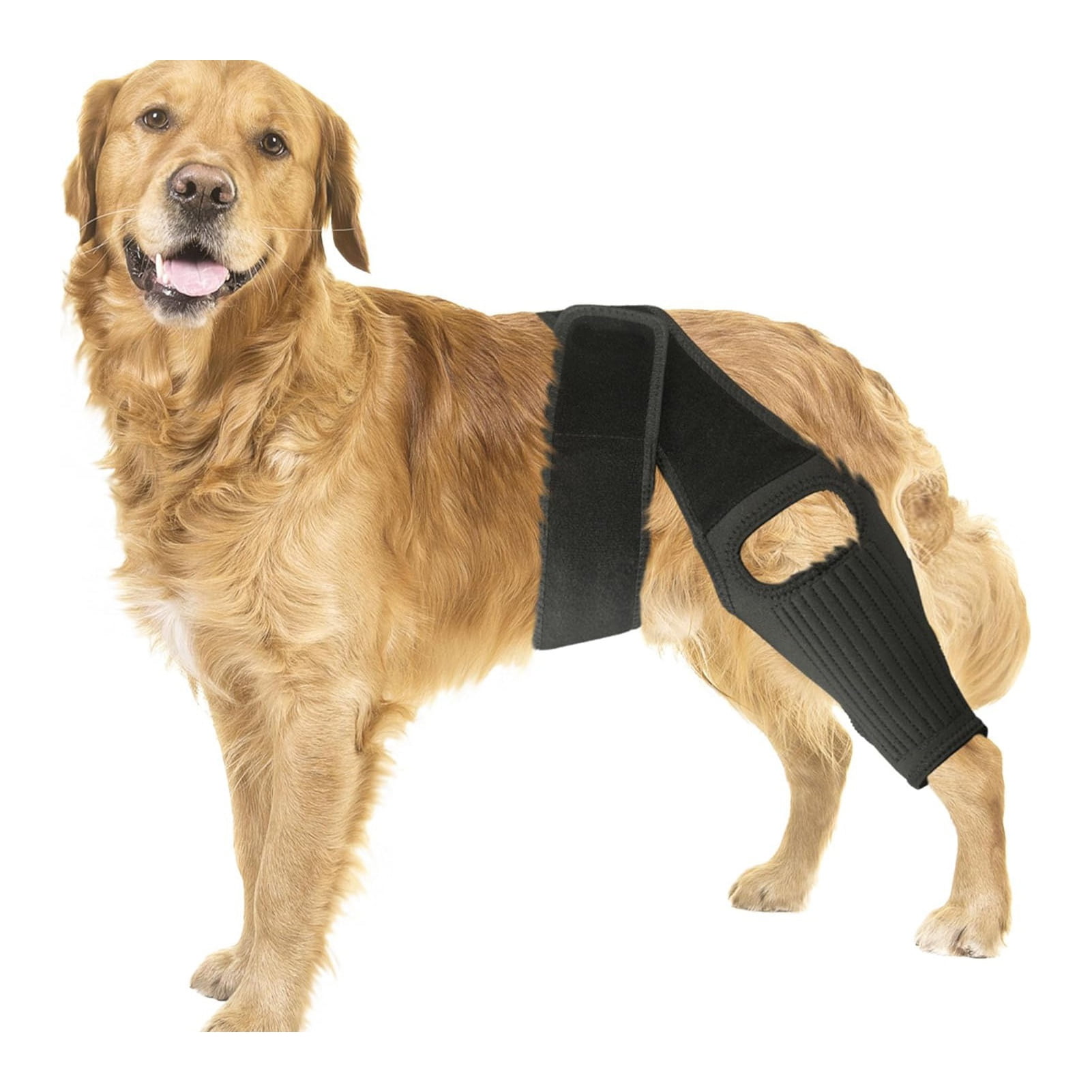 Pebbuoy Dog Hip Knee Leg Brace Adjustable Dog ACL Brace for Back Hind ...