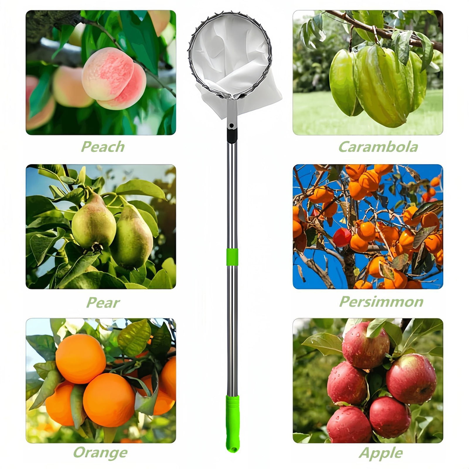 Pebbuoy Fruit Grabber,Fruit Picker Pole with Storage Bag,Gardening ...