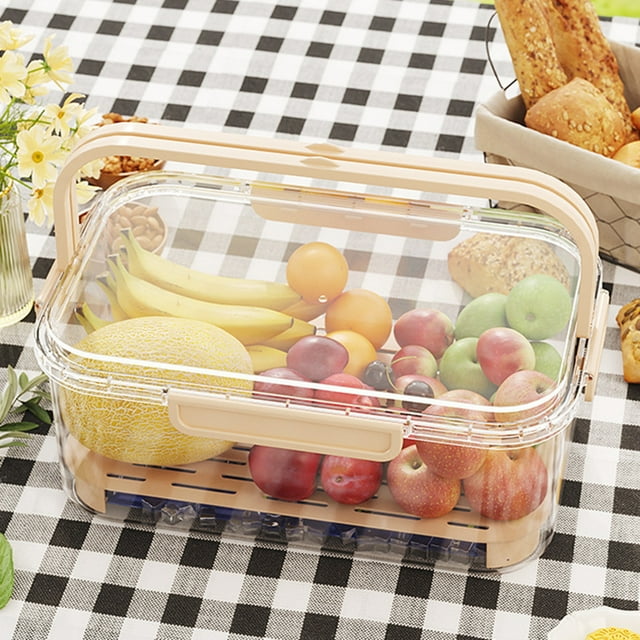 Pebbuoy Portable Fruit Box Food Storage Box Handle Design Fruit ...