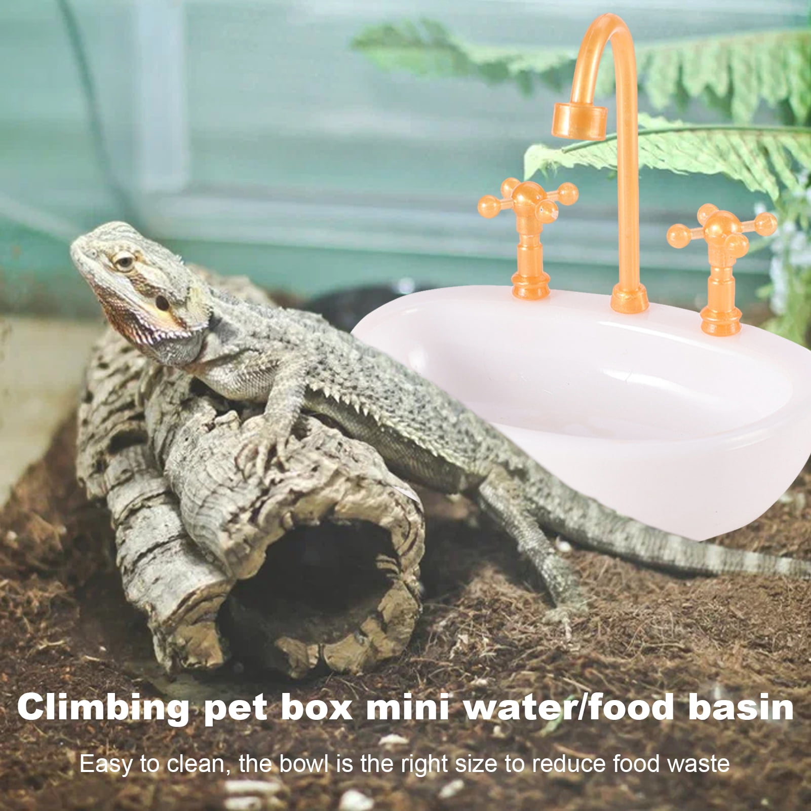 Pebbuoy Reptile Feeding Bowl Non-tip Over Climbing Pet Water Basin ...