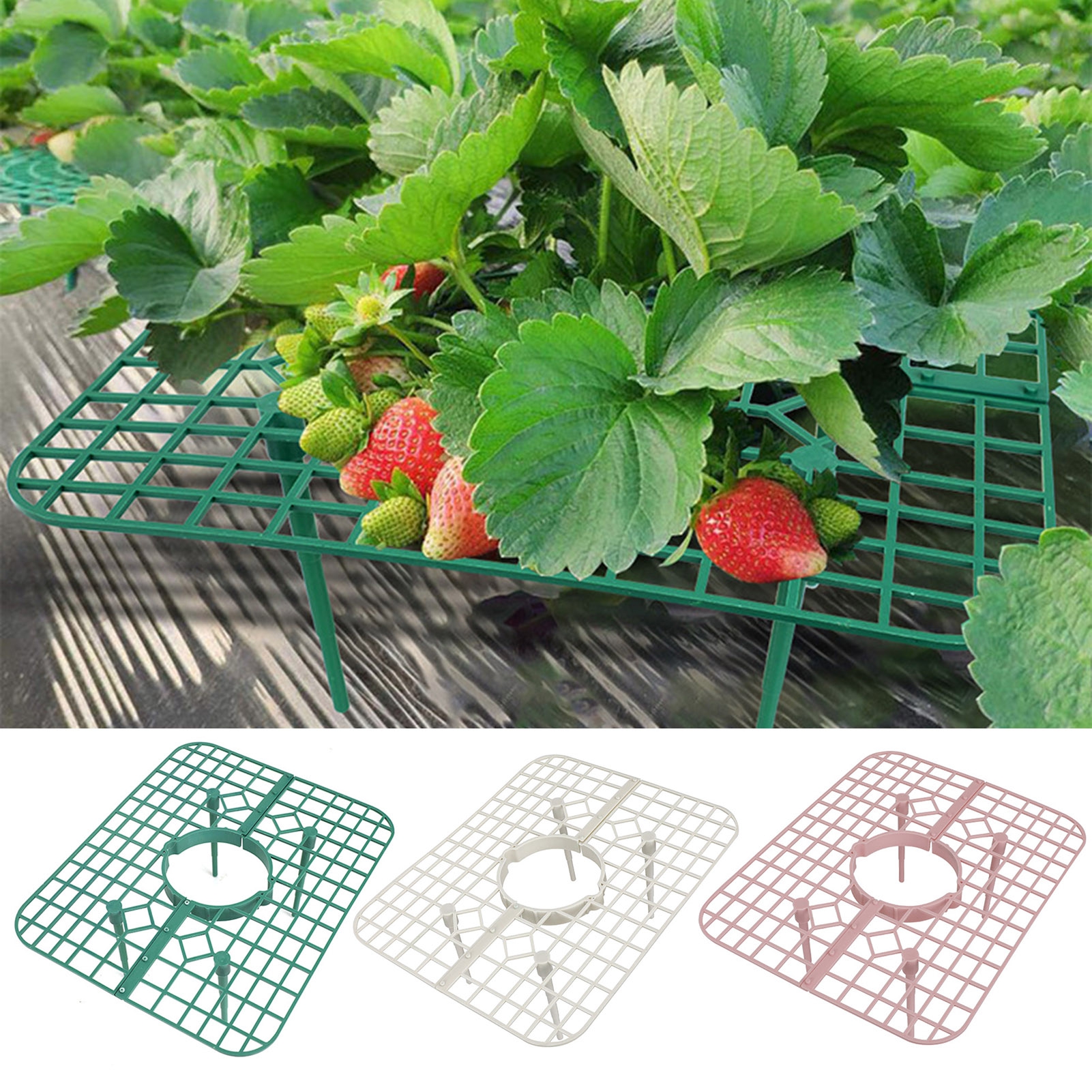 Pebbuoy Strawberry Plant Support Fruit Growing Frame Waterproof Hollow ...
