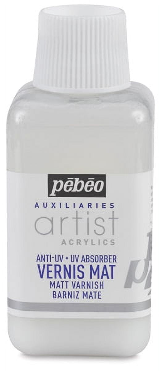 Pebeo Acrylic Polymer Varnish - Matte, 250 ml bottle - Walmart.com