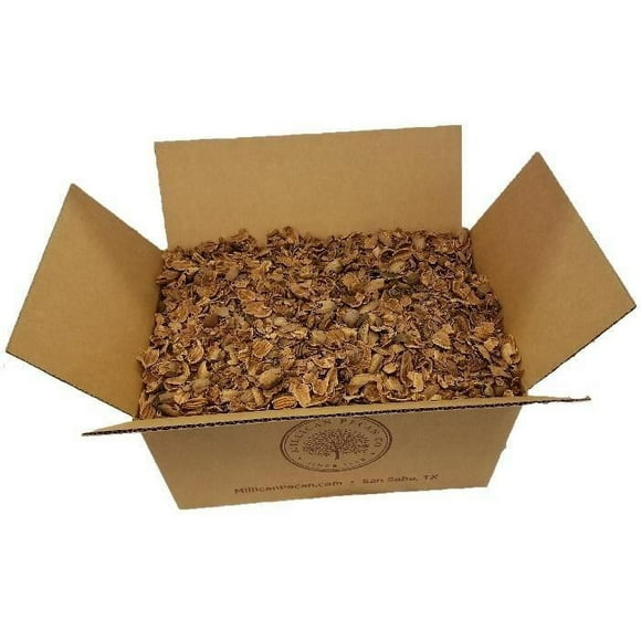 Bulk Pecans Shell