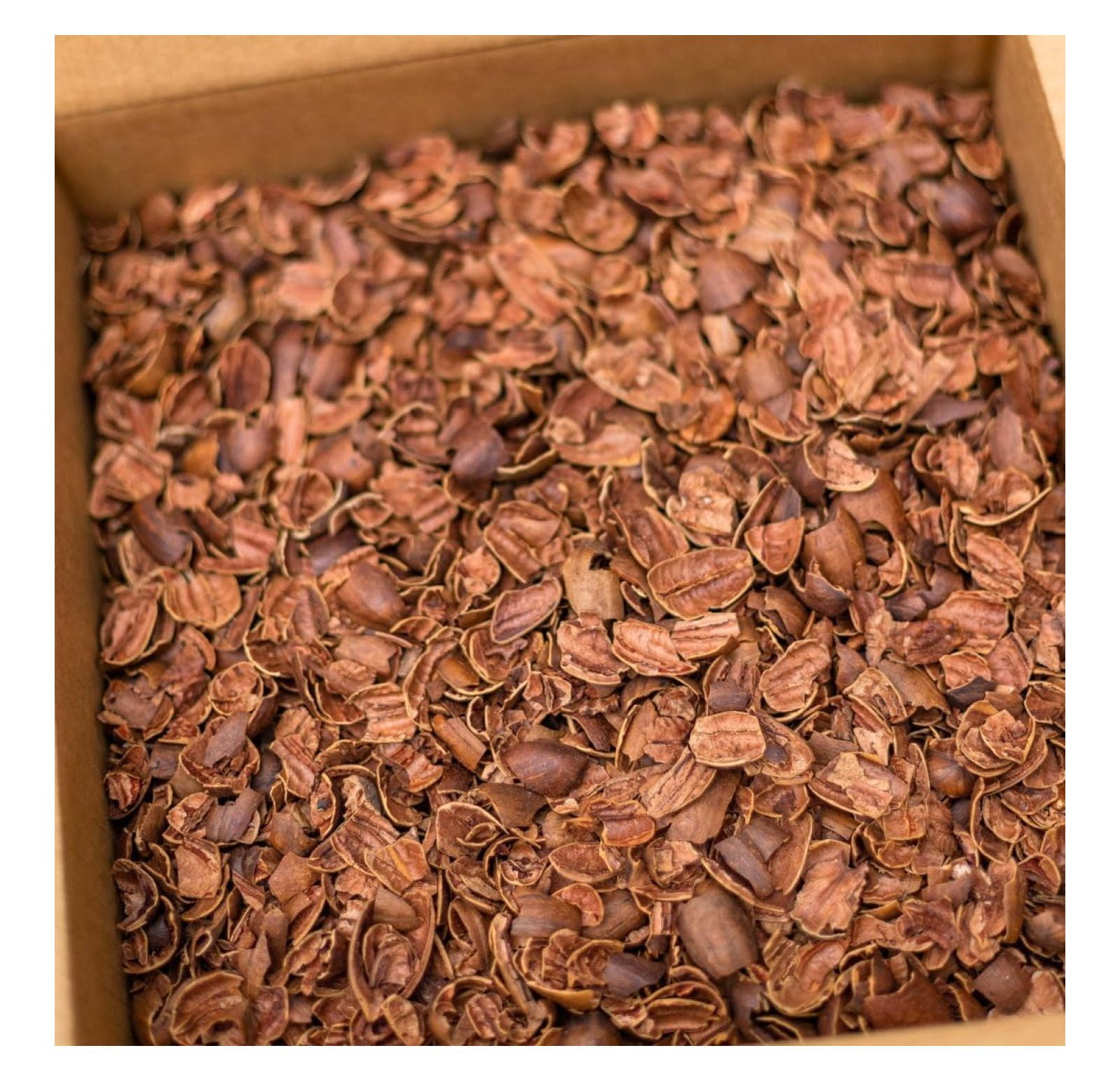 Pecan Shells (Shells ) - Great for BBQ & Grilling, Smoker Chips, and ...