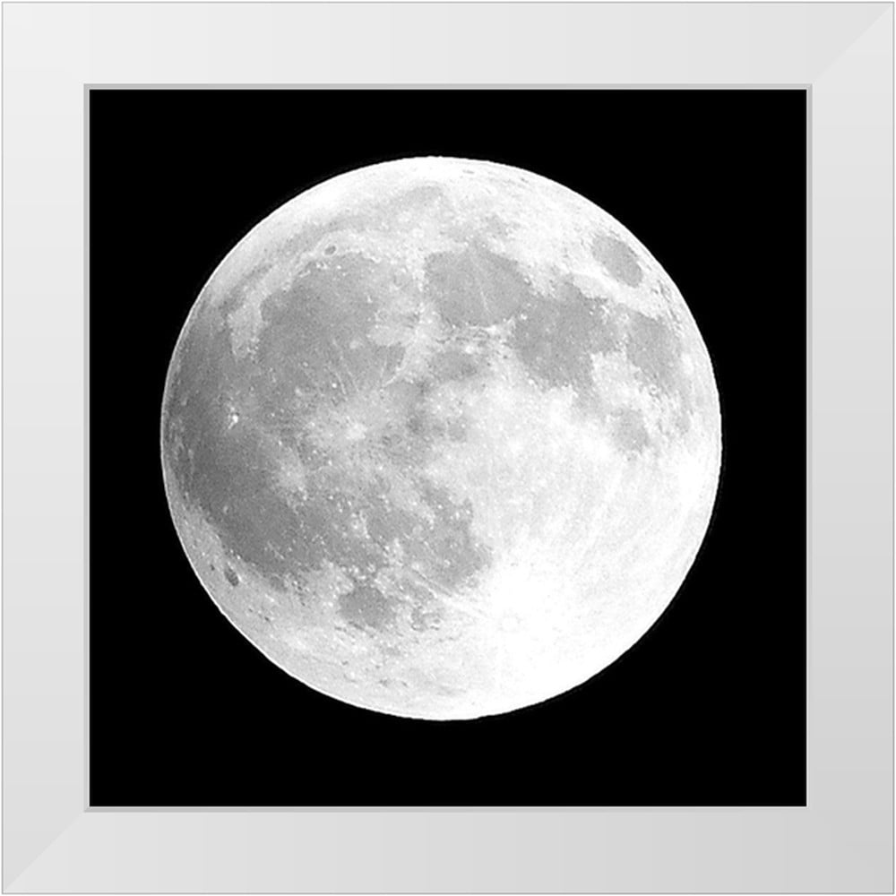 Peck, Gail 15x15 White Modern Wood Framed Museum Art Print Titled ...