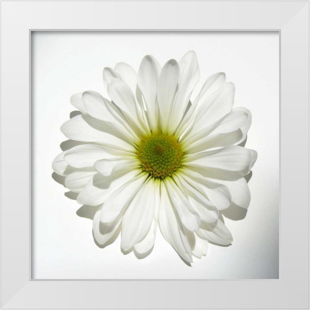 Peck, Gail 20x20 White Modern Wood Framed Museum Art Print Titled ...