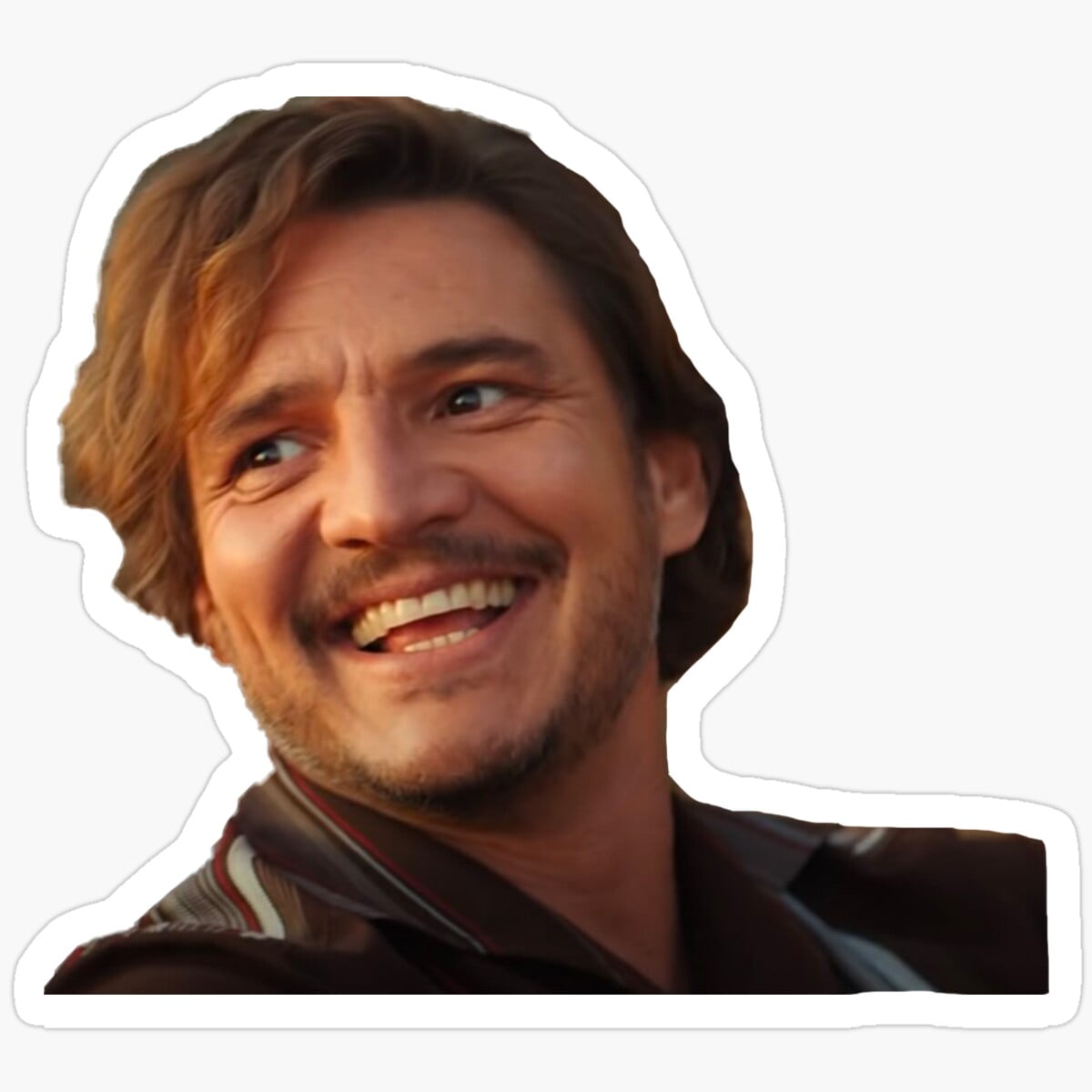 Pedro Pascal Sticker. Gift For You - Decorate Laptops, Water Bottles ...