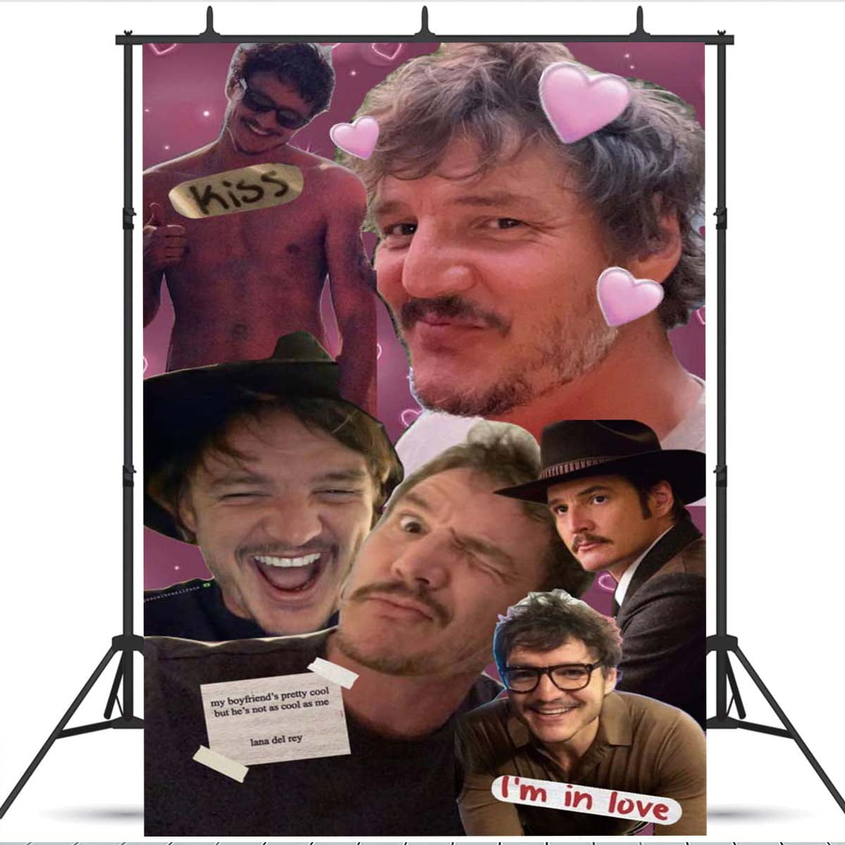 Pedro Pascal school Background Wall Decor Taspestry Poster Banner ...