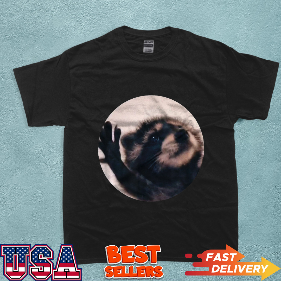 Pedro Racoon Dance Popular Internet Meme mapache dance T-Shirt ...