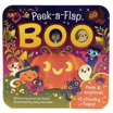 Zip! Zoom! on a Broom (Board Book) - Walmart.com