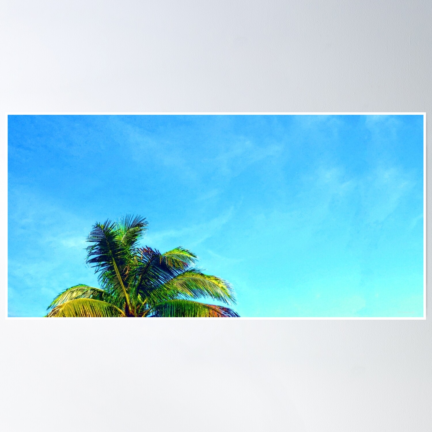 Peekaboo Palm - Tropical Art By Sharon Cummings Poster Wall Art, Modern ...