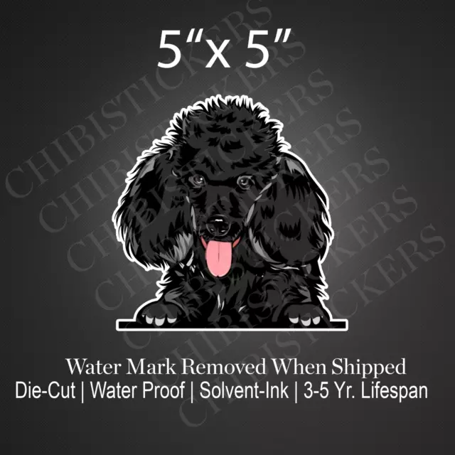 Peeking Black Poodle Realistic Dog Sticker Car Decal Sticker Vinyl ...