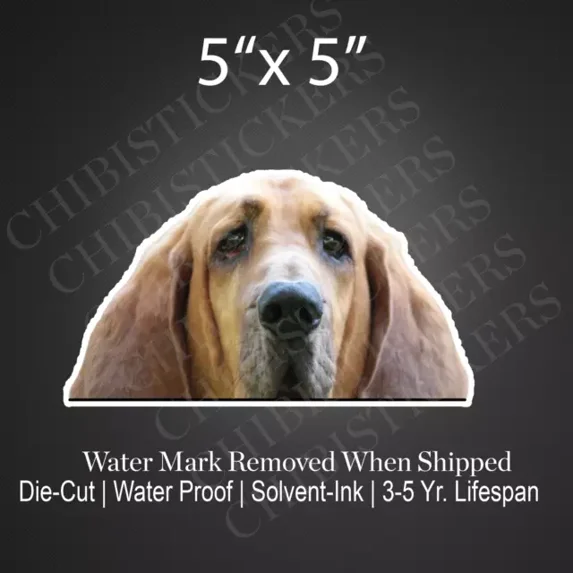 Peeking Bloodhound Fawn Red Dog Sticker Vinyl Waterproof Phone Decal ...