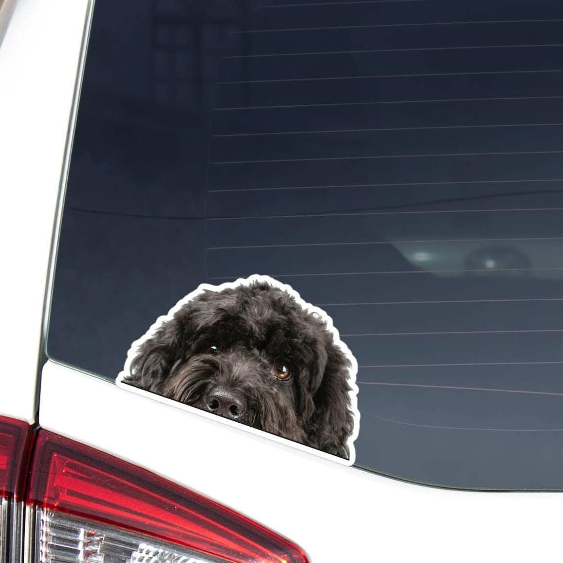 Peeking Cockapoo Car Decal Sticker, Realistic Black Cockapoo Dog Head ...