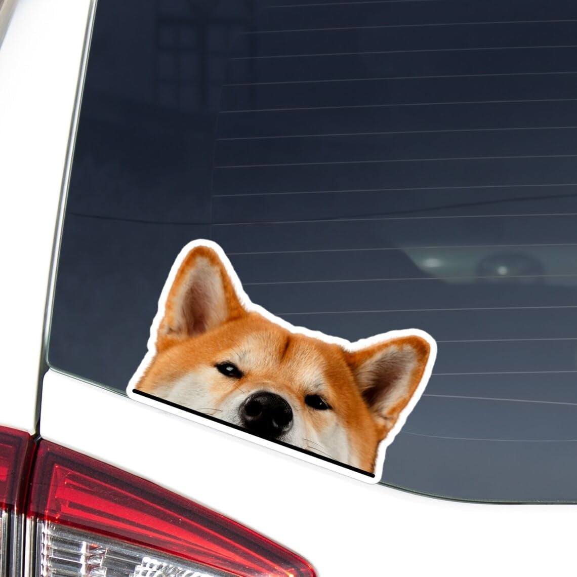 Peeking Red Shiba Inu Car Decal Sticker, Realistic Shiba Inu Dog Vinyl ...