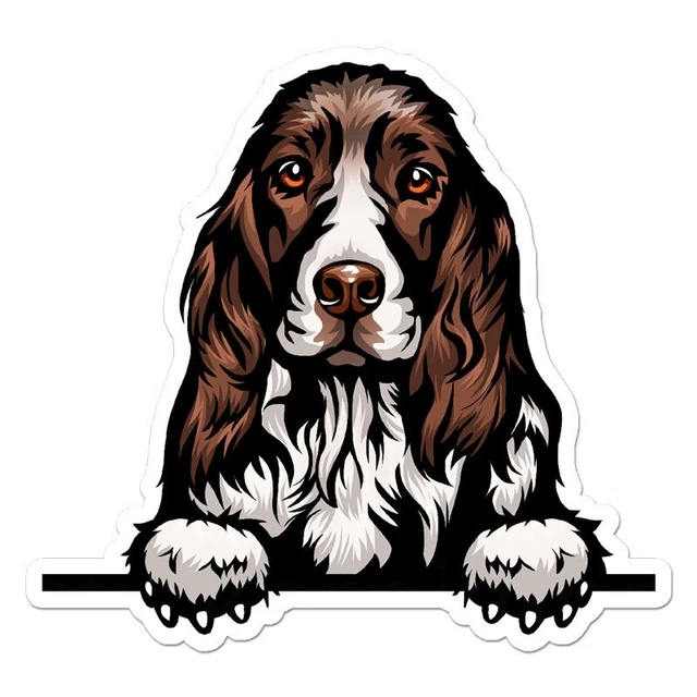 Peeking Springer Spaniel Sticker Indoor Outdoor Phone Decal Water ...