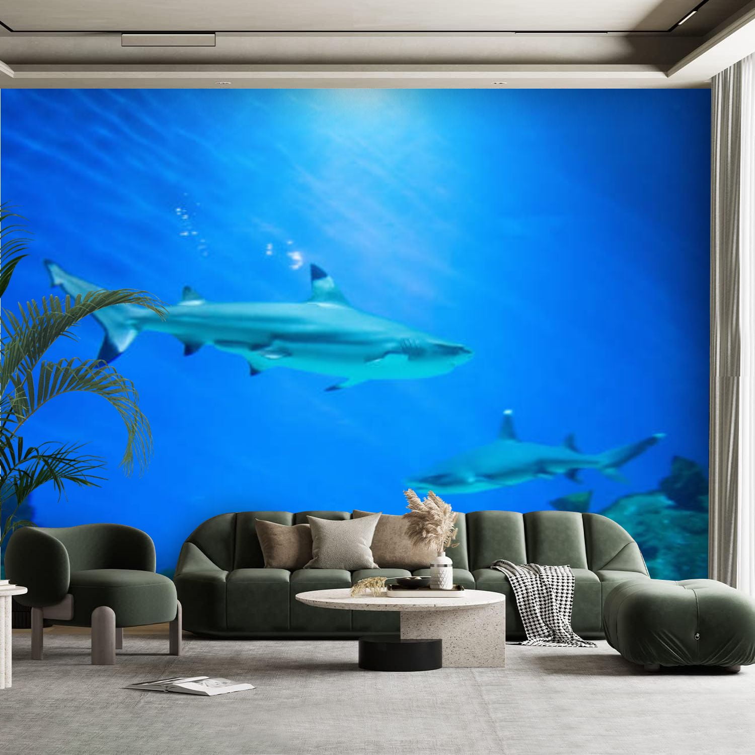 Peel and Stick Canvas Wallpaper Wall Mural Predatory shark swims stones among other sharks ...