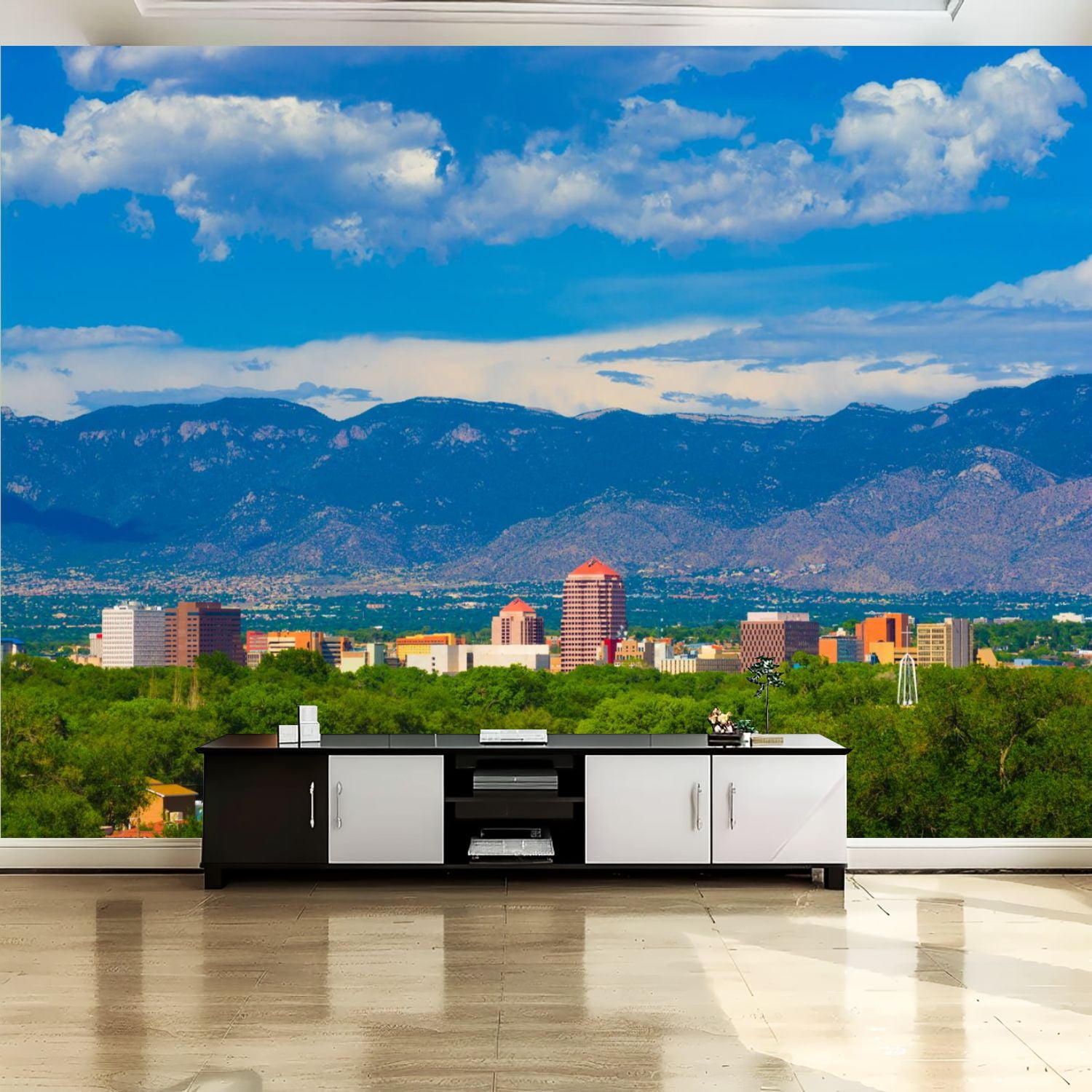 Peel and Stick Canvas Wallpaper Wall Mural albuquerque skyline ...